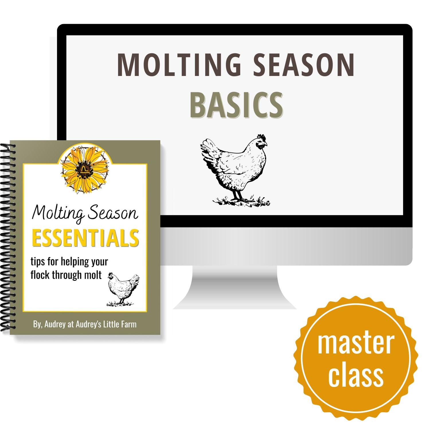 Masterclass: Molting Season Basics – Audrey's Little Farm Shop